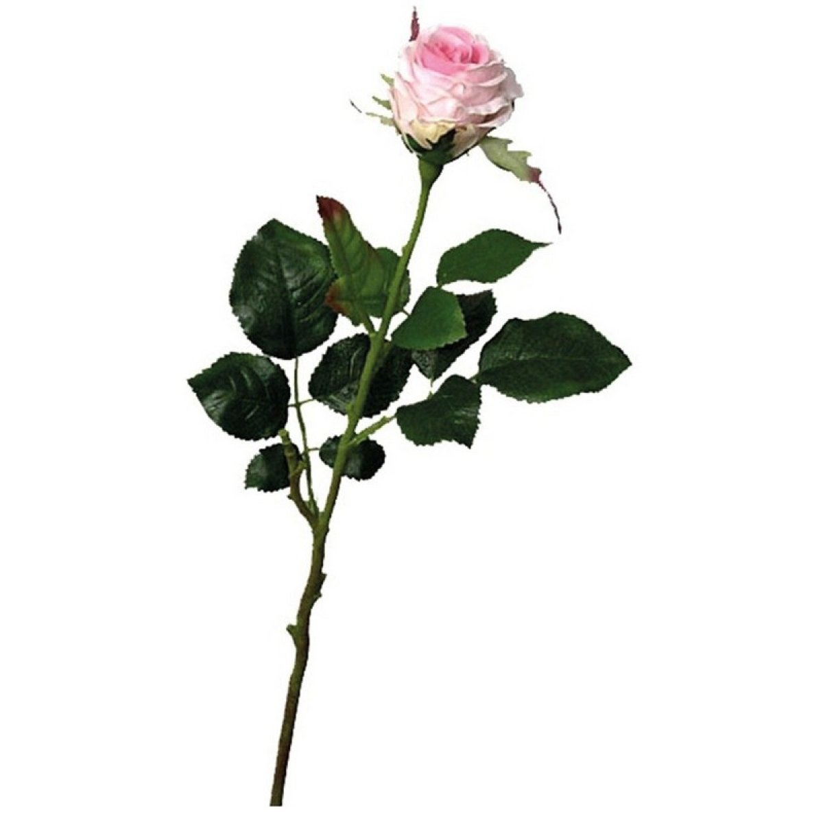 Köp Konstgjord Elena Ros Rosa Här - Snabb Leverans - Temashop.se