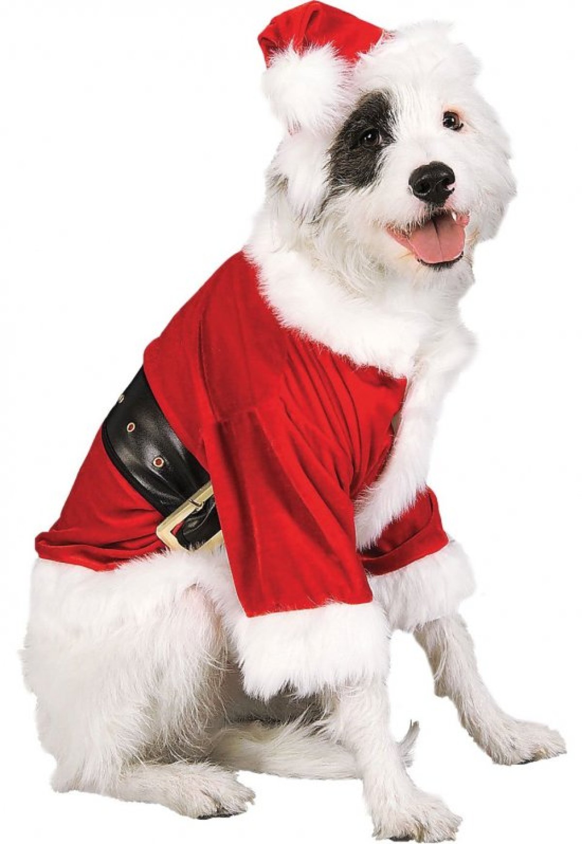 Köp Jultomte Hunddräkt Här - Snabb Leverans - Temashop.se